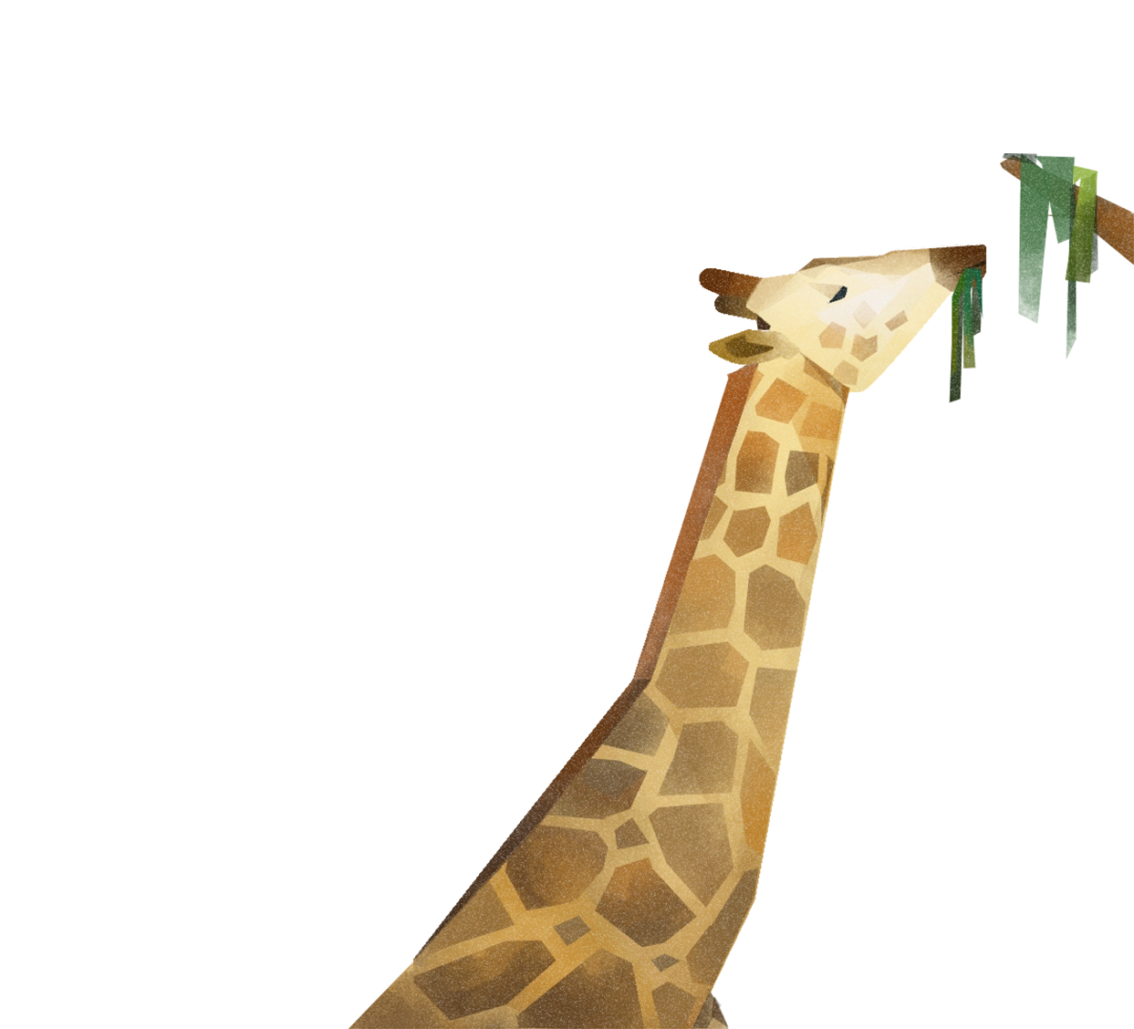 Altitude by AXA Climate